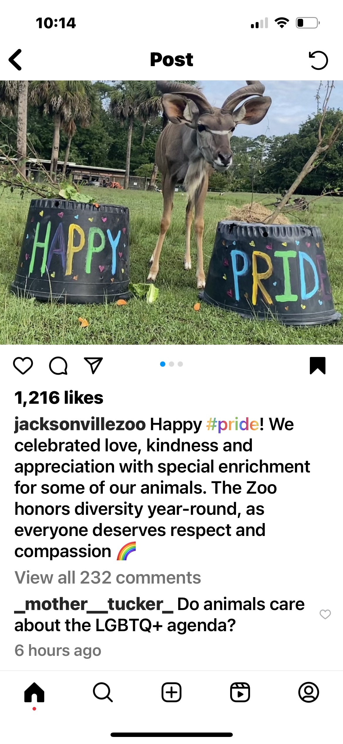 This Pride thing has turned into a Zoo - Eye on Jacksonville